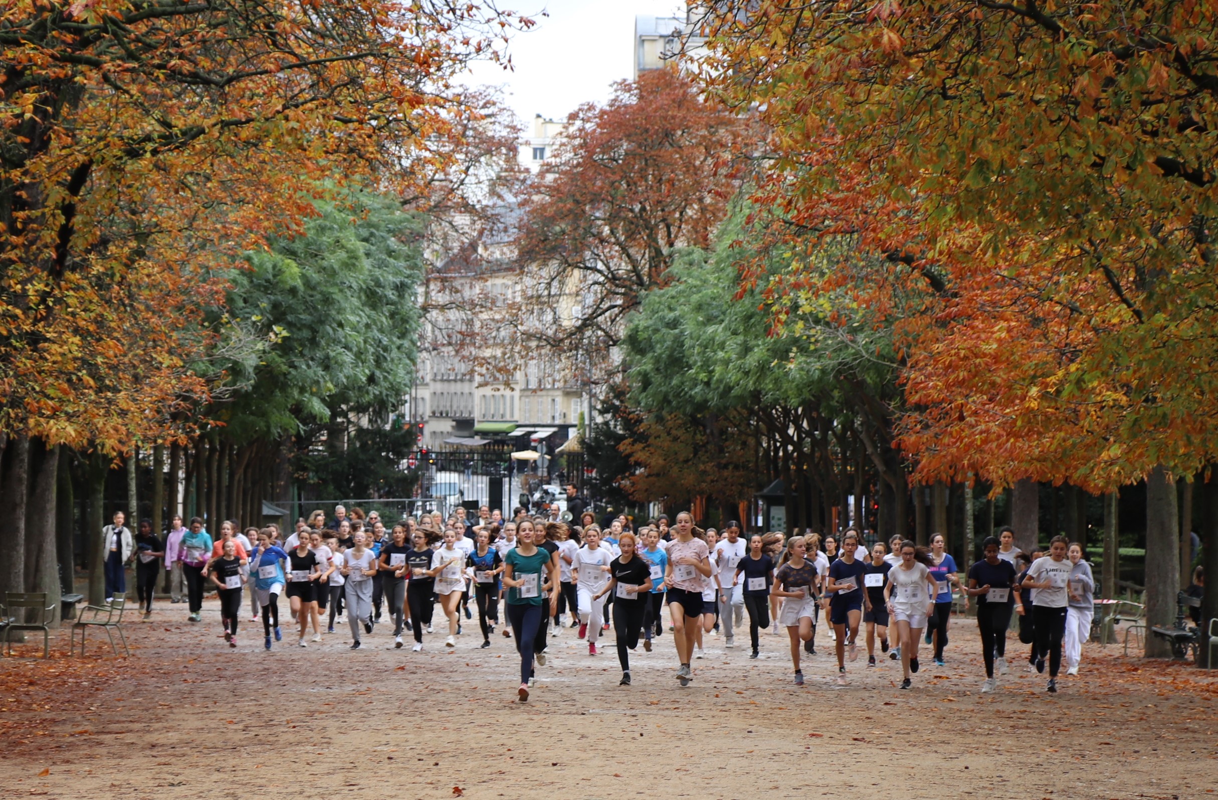Cross du collège au jardin du Luxembourg - Collège Stanislas Paris